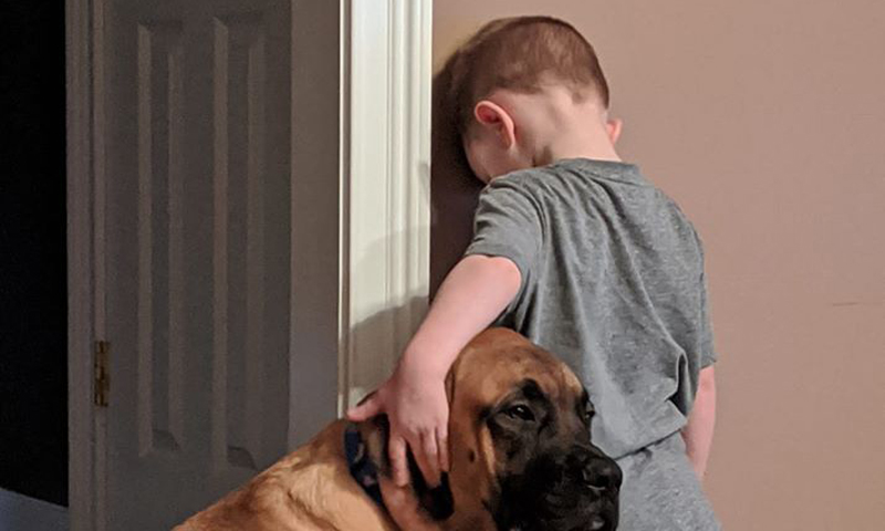 Go Ask Mum Adorable Photo of Dash the Dog Joining His Best Buddy During ...