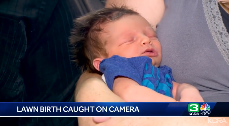 Go Ask Mum lawn birth caught on camera - Go Ask Mum